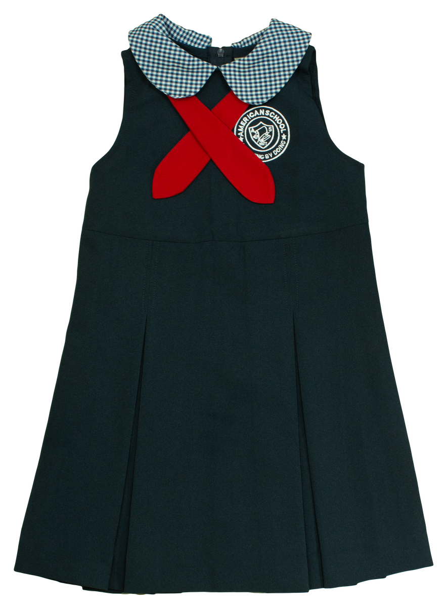 AM SCHOOL NAVY & GINGHAM DRESS PK1 – Olimac Uniforms